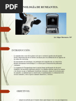 Eje - Hipotálamo - Hipófisis - Ovario - en - Vacas BIOLOGIA - GENETICA | PDF | Hormona ...