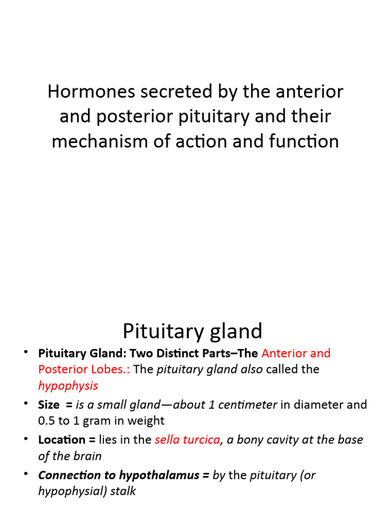 Hormones Secreted by Anterior and Posterior Pituitary | Download Free ...