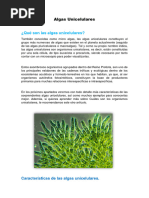 ¿Las Plantas Son Unicelulares o Pluricelulares - ¡Descúbrelo! | PDF | Plantas | Algas