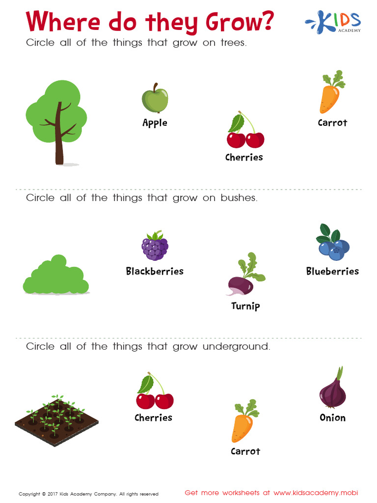 Kindergarten Where Do They Grow Worksheet | PDF
