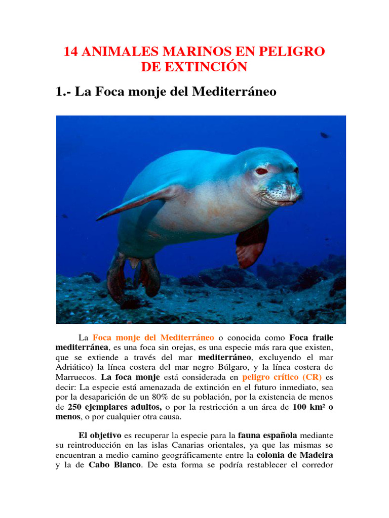 14 Animales Marinos en Peligro de Extincion | PDF | Arrecife de coral | Organismos