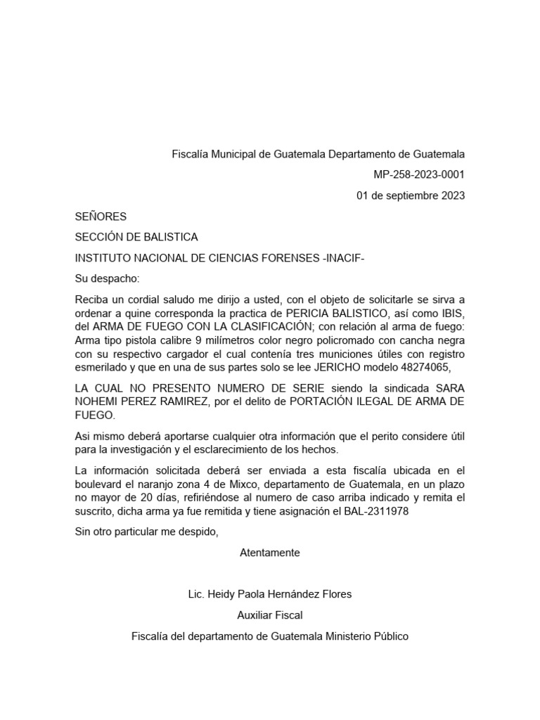 Informe Digecam Sara | PDF