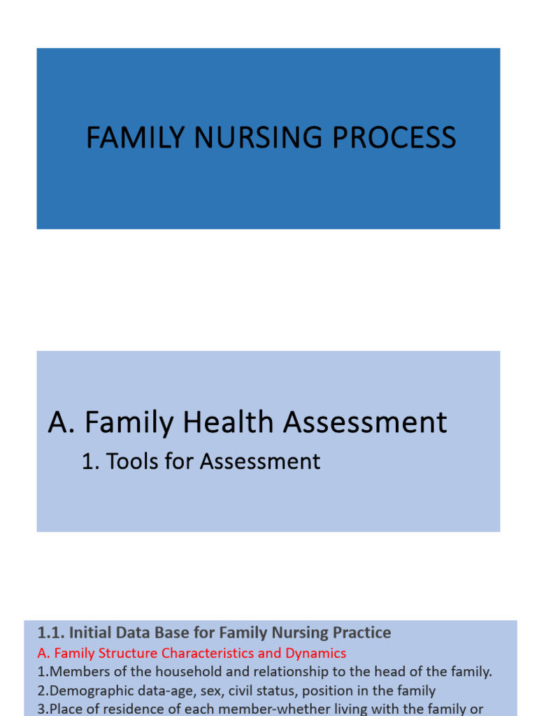 1V Family Nursing Process | PDF