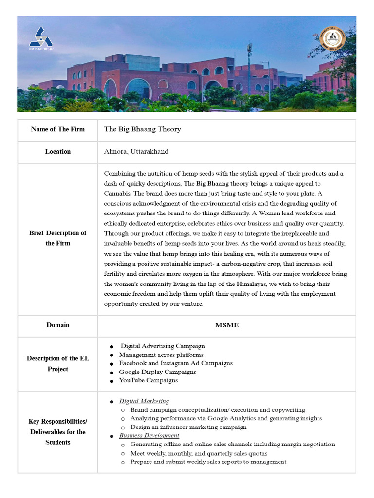 The Big Bhaang Theory | PDF | Career & Growth