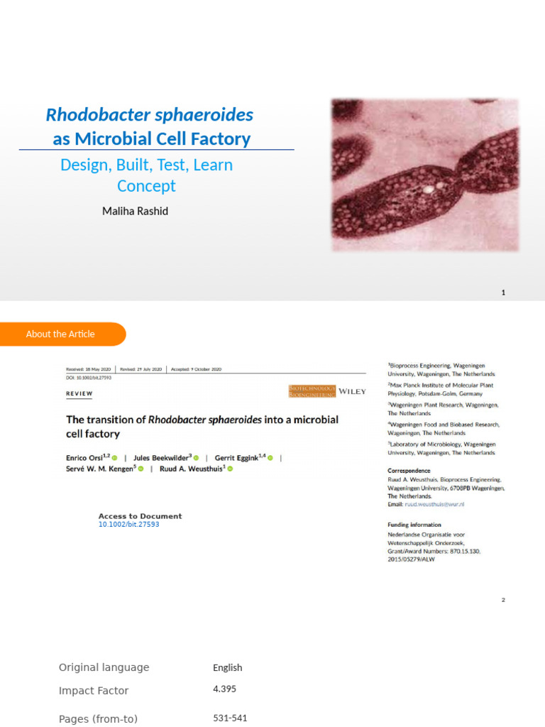 Rhodobacter Maliha Rashid | PDF | Biology | Biochemistry