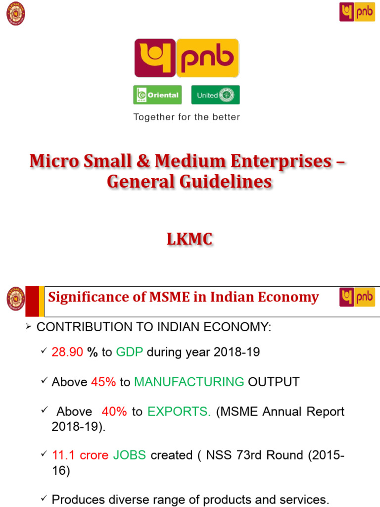 MSME Overview PNB | PDF | Small And Medium Sized Enterprises | Loans