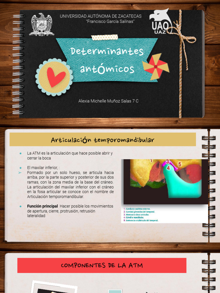 Determinantes Anamtomicos Alexia Michelle Muñoz Salas | PDF ... Determinantes Anamtomicos Alexia Michelle Muñoz Salas | PDF ...