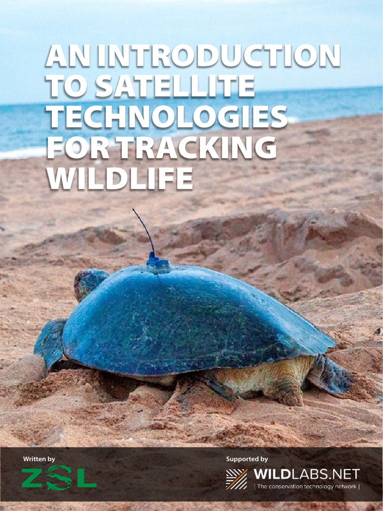 An Introduction To Satellite Technologies For Tracking Wildlife | PDF ...