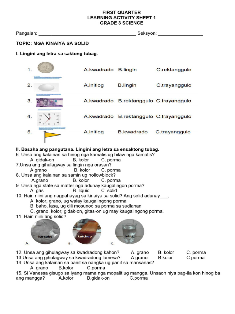 Science Activity Sheet | PDF