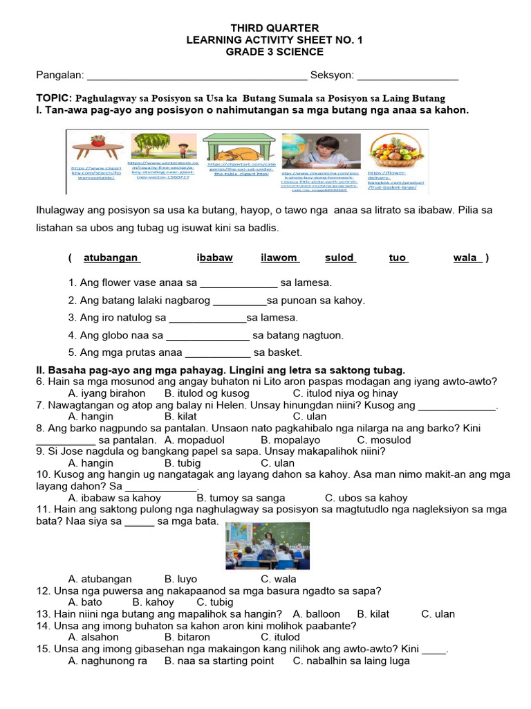 Activity Sheet | PDF