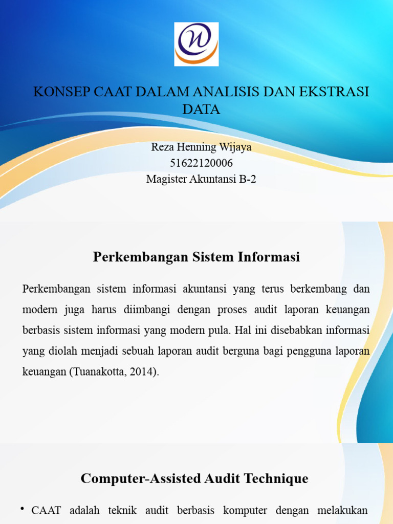 Audit Sistem Informasi 12 | PDF