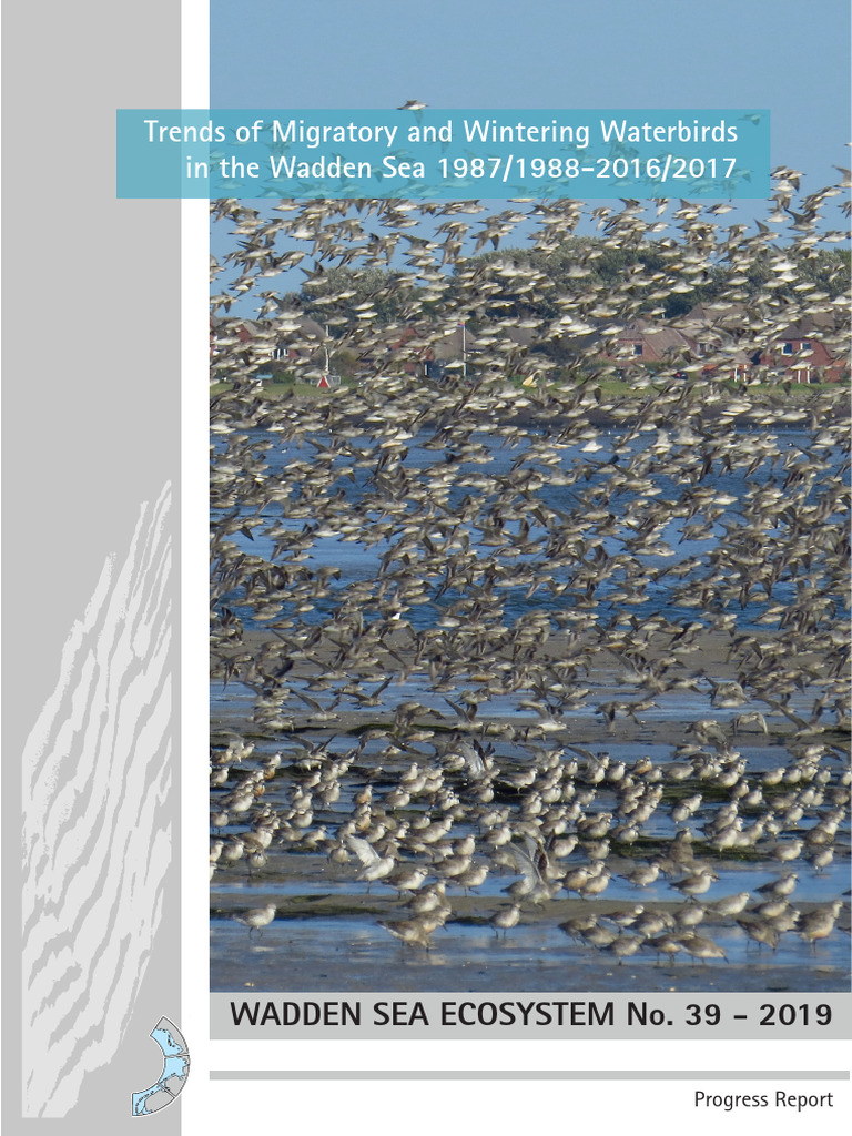 2019 - Ecosystem39 - Trends of Waterbirds | Download Free PDF | Bird ...