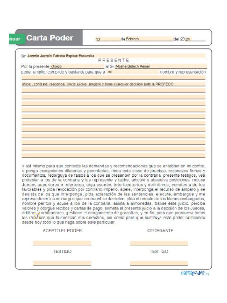 Carta Poder | PDF