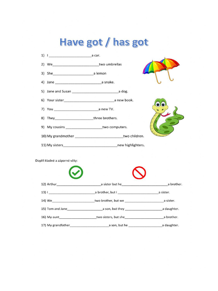 Has Got / Have Got Exercise | PDF