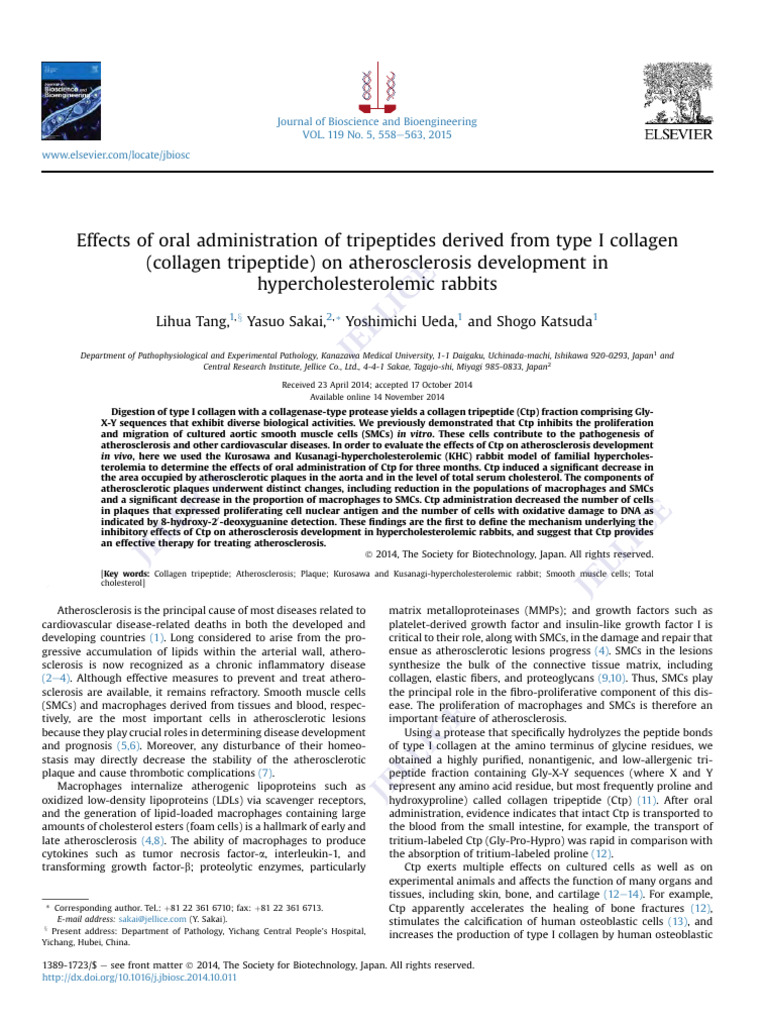 Effect of Oral Administration of Tripeptides derived from type I ...