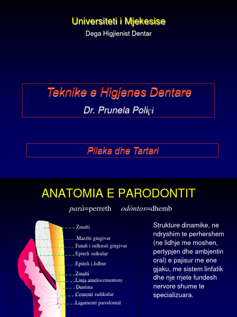 Leks. 2. Pllaka Dhe Tartari | PDF