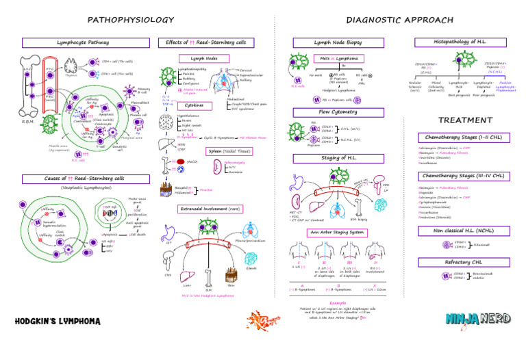 Hematology Pathology 007 Hodgkin's Lymphoma Illustrations | PDF