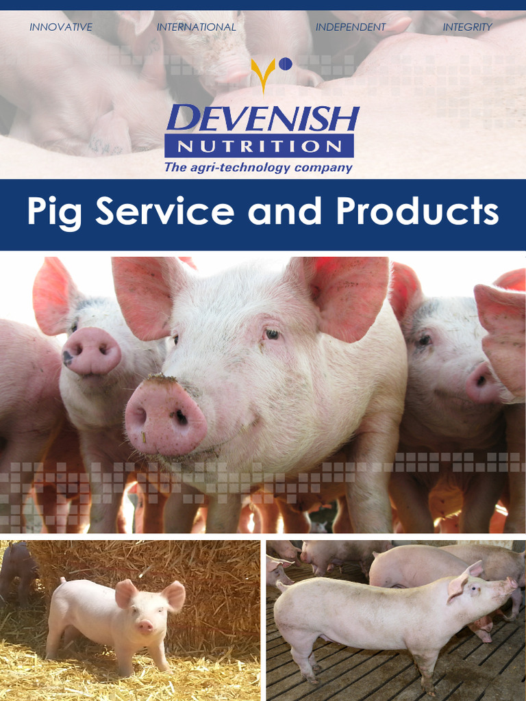 Pig Brochure Jan 2014 (Final) | PDF
