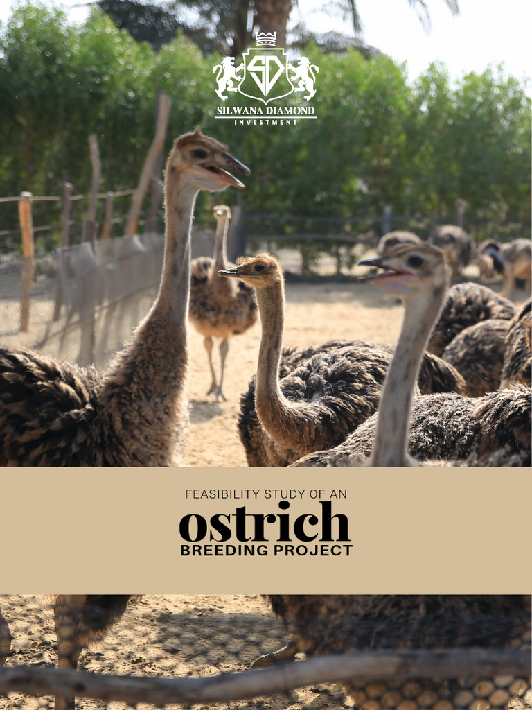 Ostrich: Breeding Project | Download Free PDF | Meat | Birds