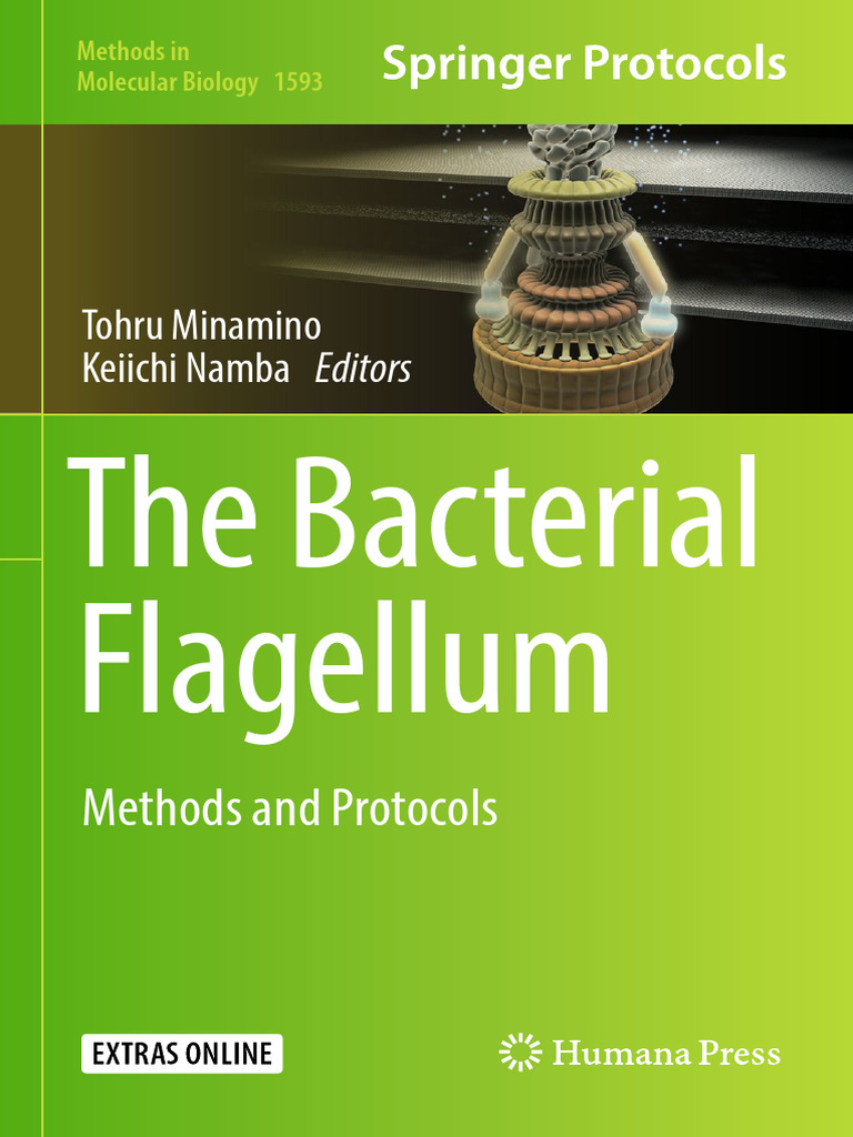 The Bacterial Flagellum | PDF