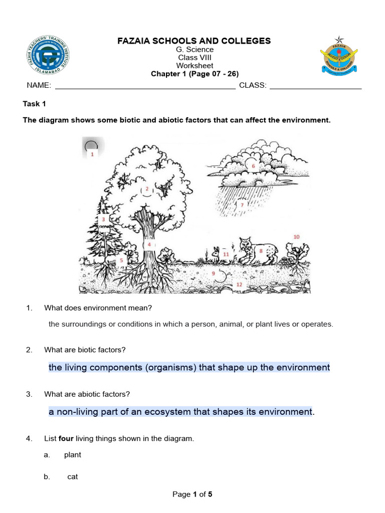 Class VIII - Chapter 1 - Solved Worksheet | PDF Class VIII - Chapter 1 - Solved Worksheet | PDF