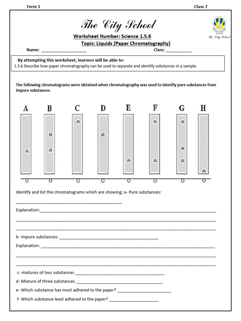 Chromatography Worksheet | PDF