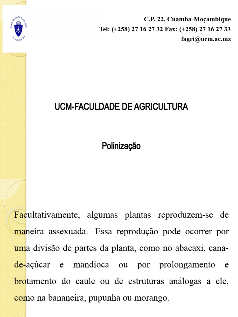 U 4 Acasalamento Real | PDF | Casa e Jardim | Tecnologia e Engenharia