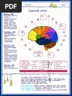Criteria For Behavioural Variant FTD | PDF | Human Diseases And ...