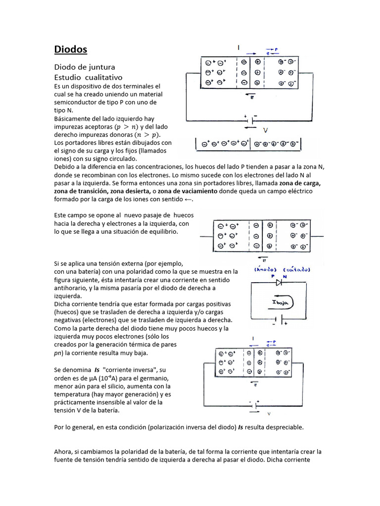 El Diodo de Juntura | PDF | Diodo | Semiconductores