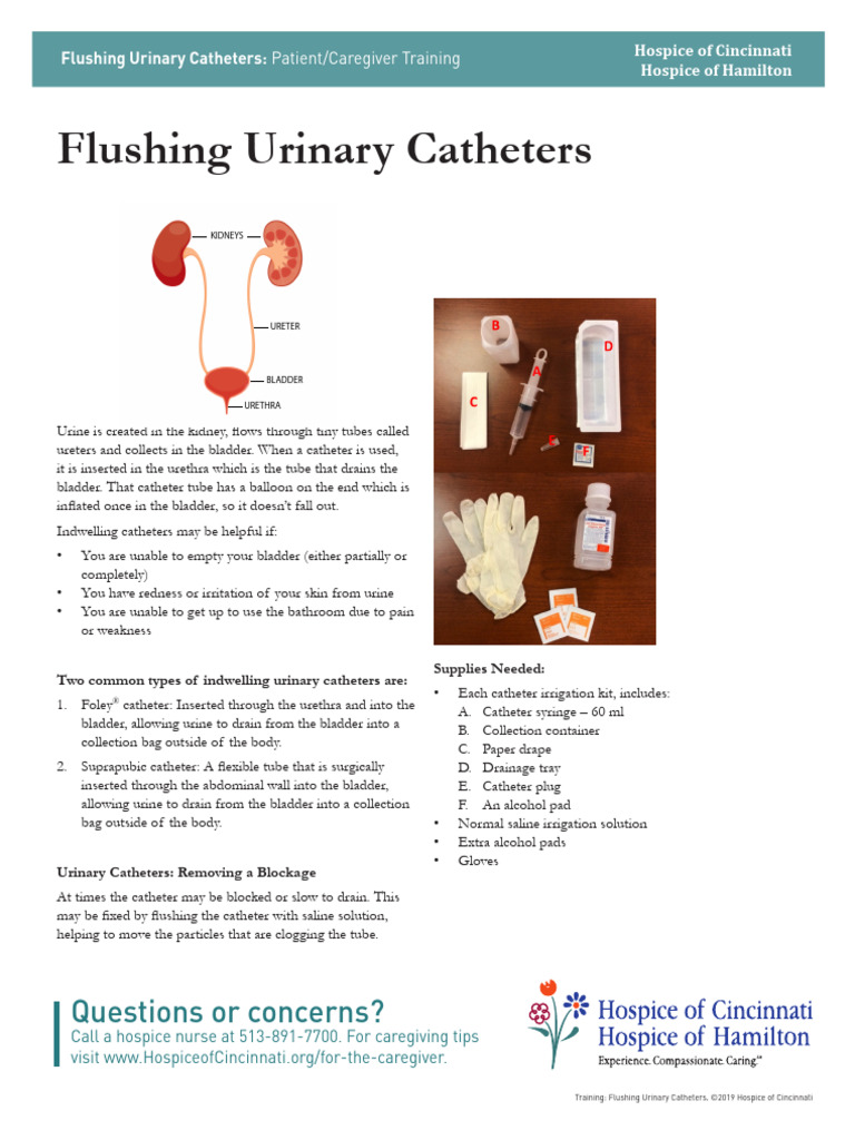 Catheter Flushing 20190522 | PDF