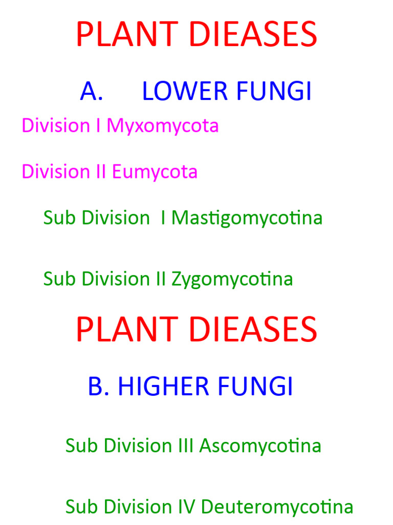 Overview of Plant Diseases by Fungi | PDF