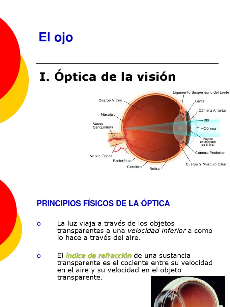 Óptica y Funcionamiento del Ojo | PDF | Ojo humano | Percepción visual