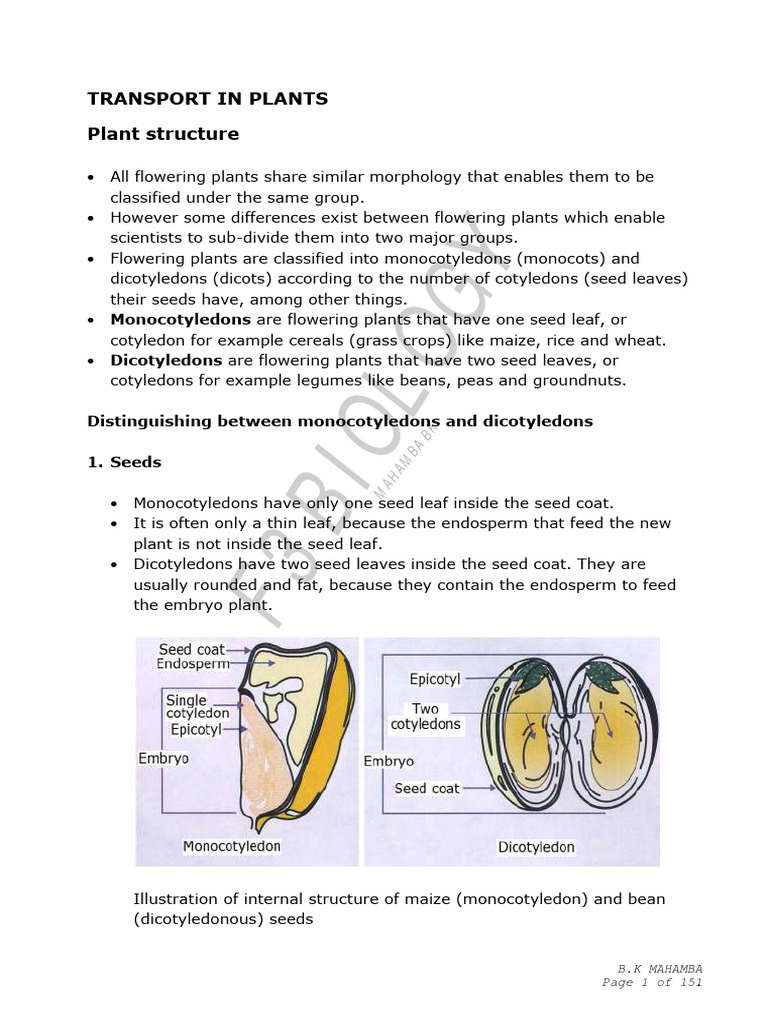 F3 Bio Notes | PDF
