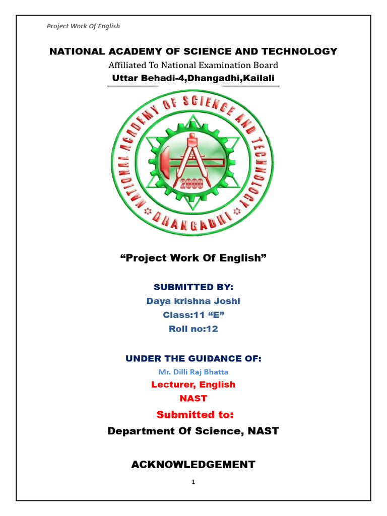 Social Media Project Work | PDF | Social Media | Popular Culture ...