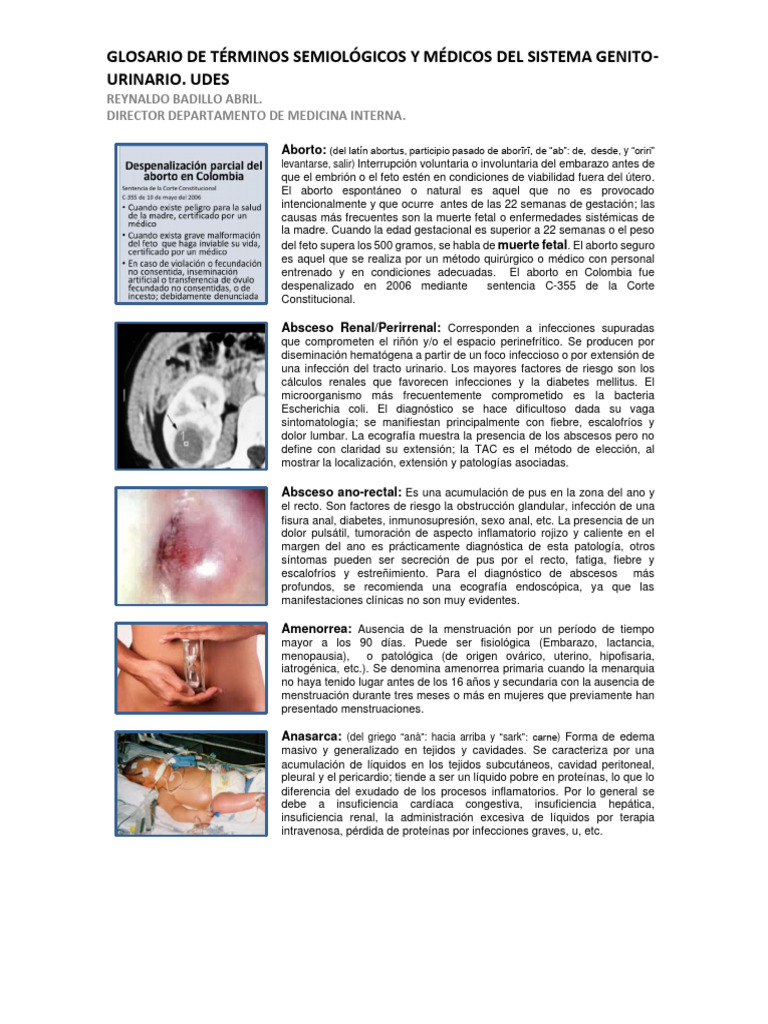 GLOSARIO 4 R Semio GENITOURINARIO | PDF | El embarazo | Aborto espontáneo