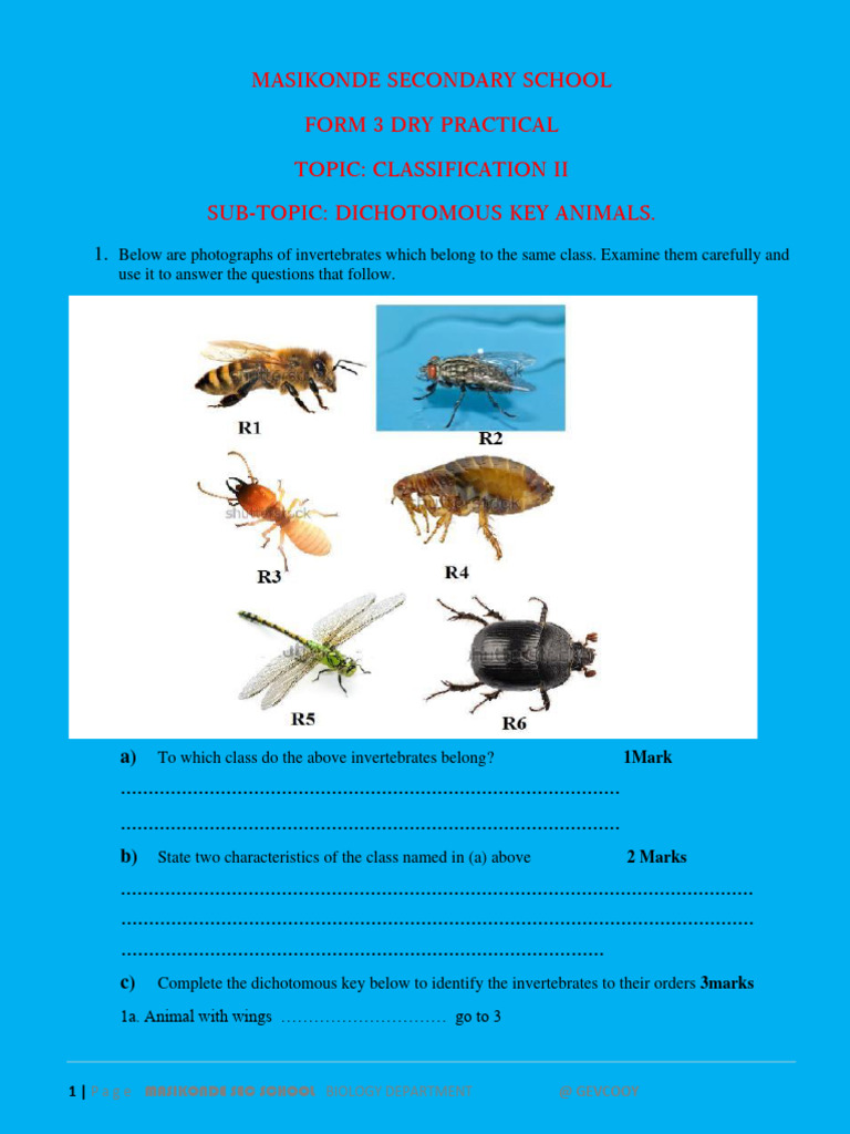 Biology Dry Practical Dichotomous Key Animals | Download Free PDF ...