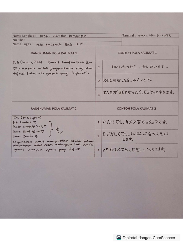 Kosakata Dan Pola Kalimat Bab 25 (Moh Satrio Rifaldy) | PDF