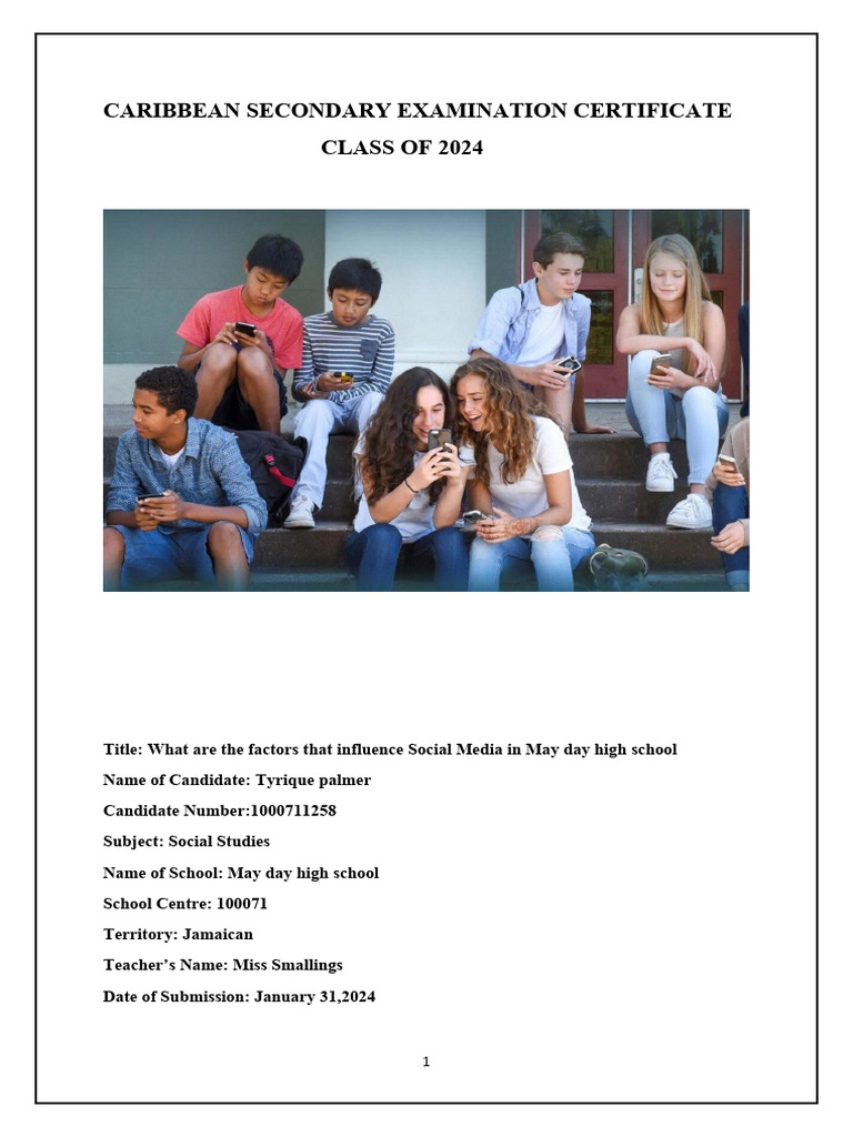 Social Media Influence at May Day High School | PDF
