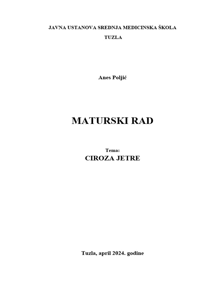 PRIMJER Prve 4 Strane Maturskog Rada | PDF