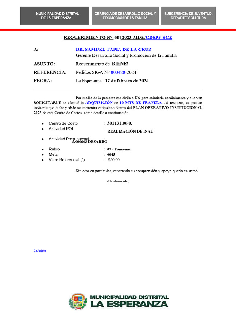 Modelo - Requerimiento de Bienes y Servicios | PDF