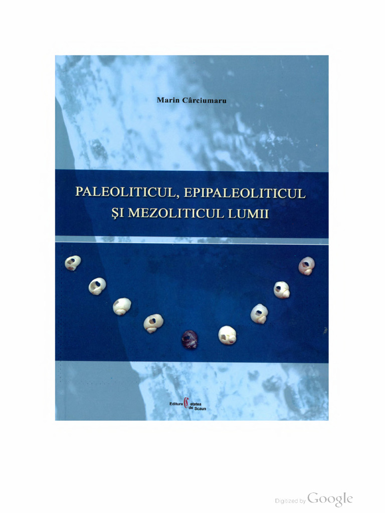 Paleoliticul Epipaleoliticul Si Mezoliti | PDF