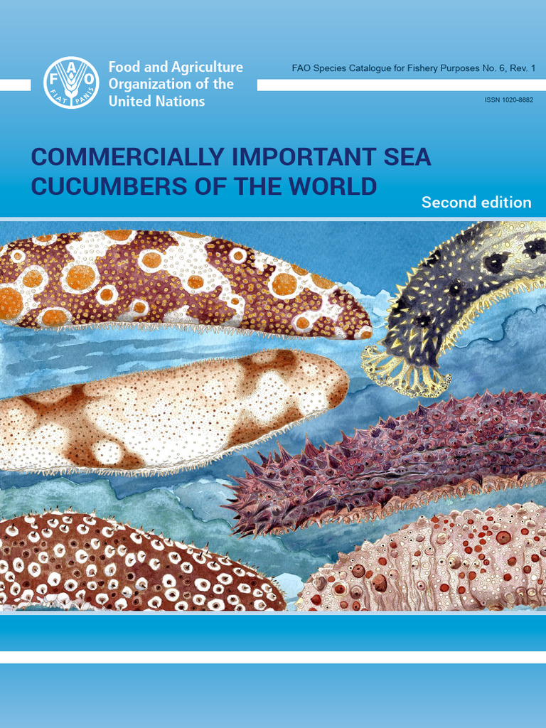 Commercially Important Sea Cucumbers of The World | PDF | Anatomical ...
