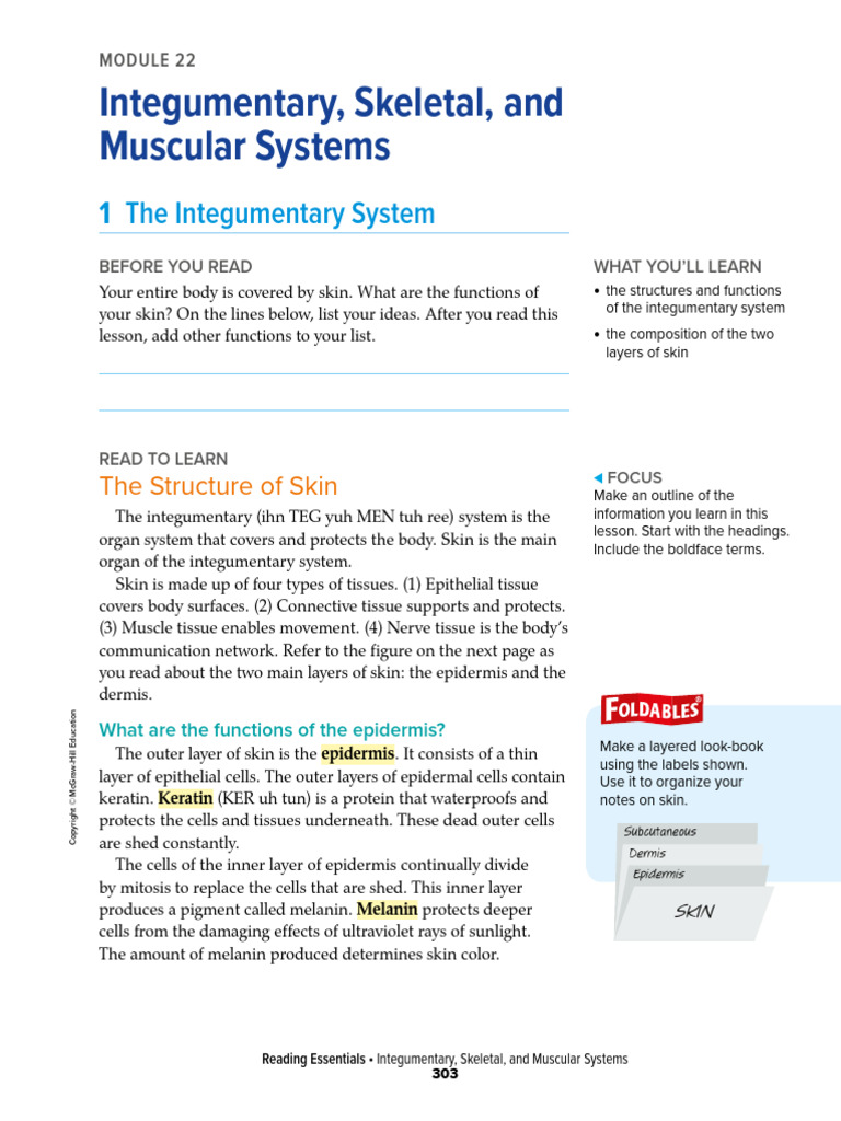 Reading Essential - Integumentary, Skeletal and Muscular System | PDF