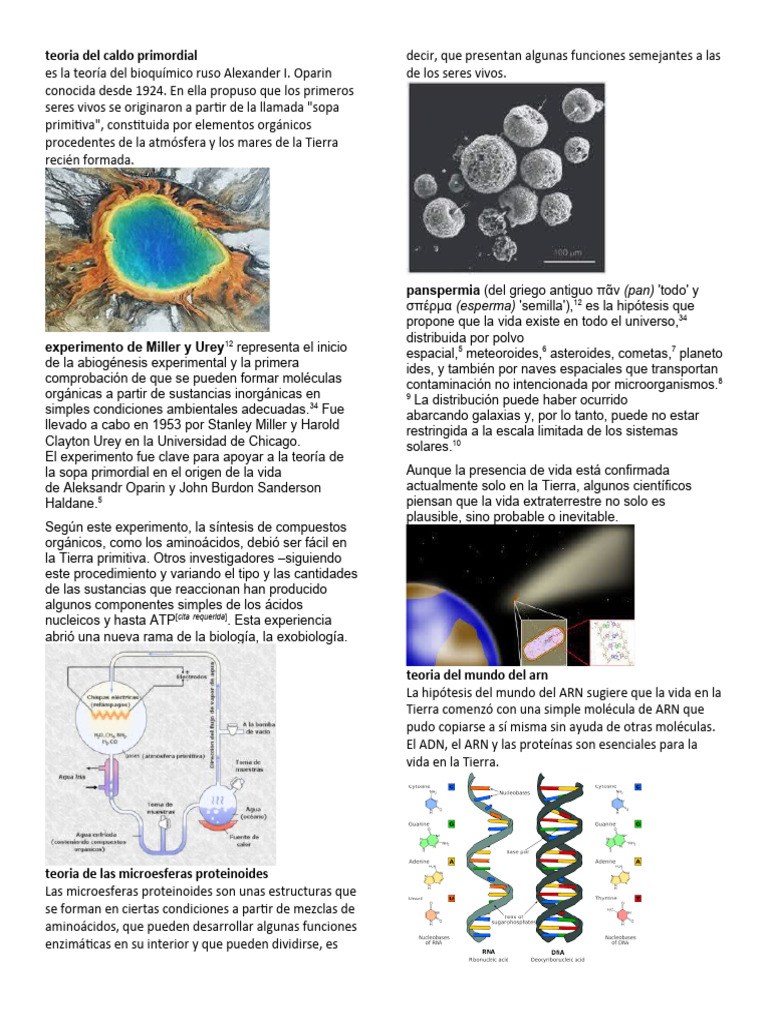 Teoría del Caldo Primordial de Oparin | PDF
