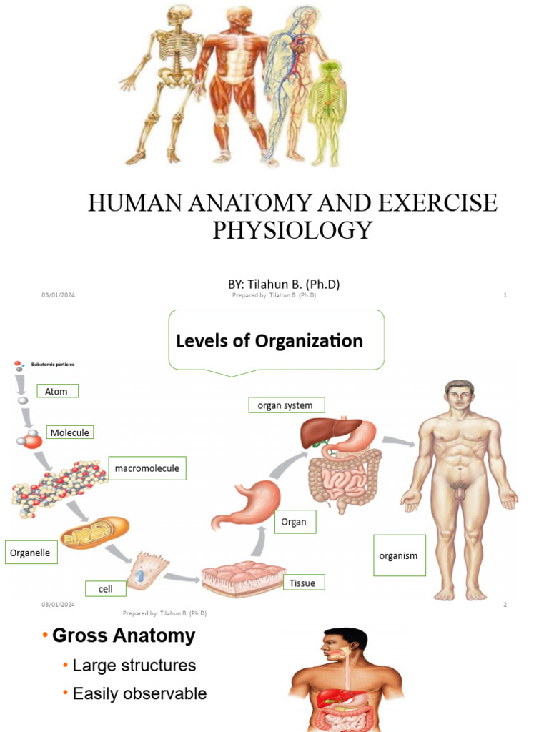12 Human Anatomy and Exercise Physiology | PDF | Human Body | Physical Fitness