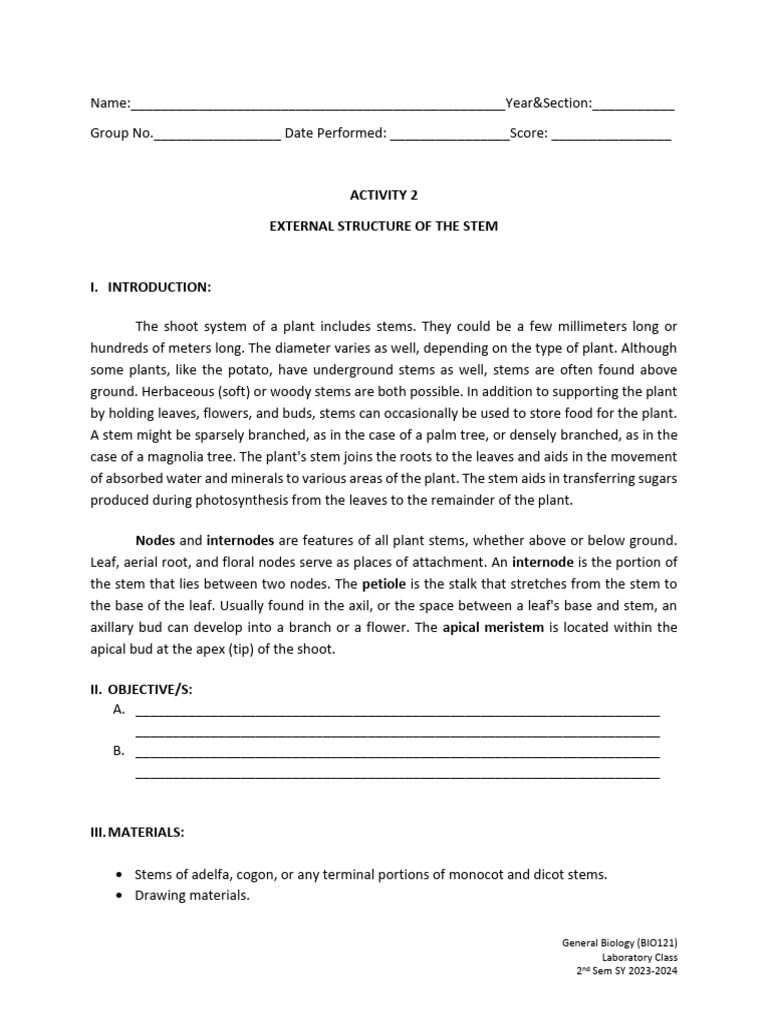 Lab Activity 2 External Structure of Stem | PDF