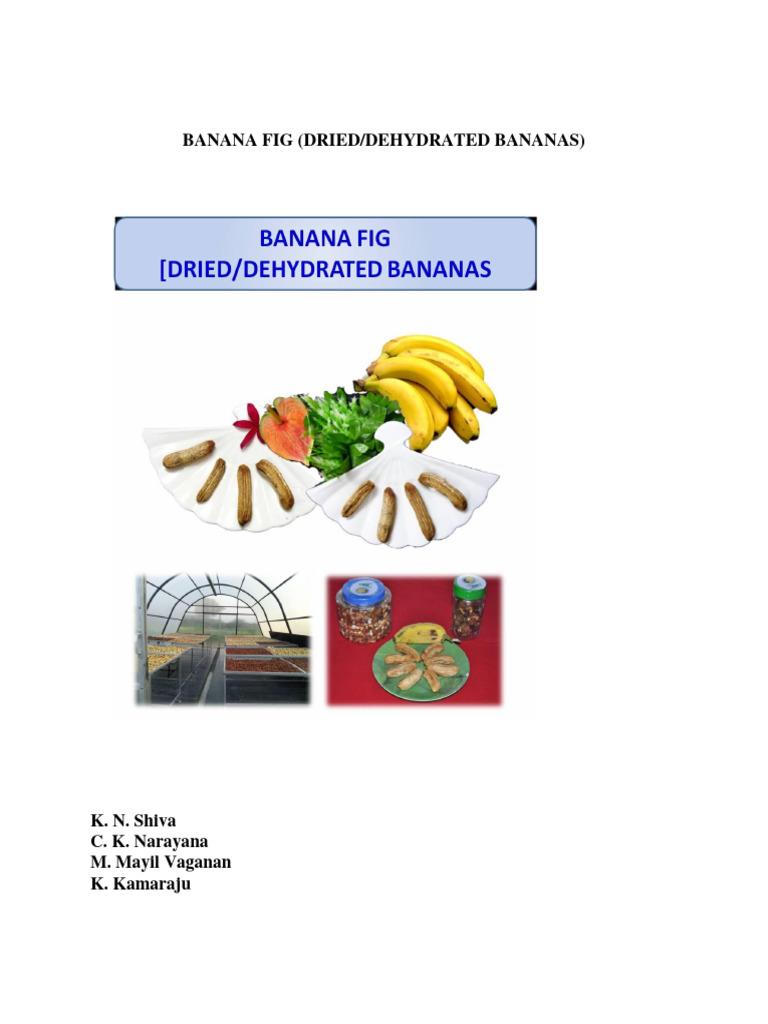 10 Banana Fig | PDF
