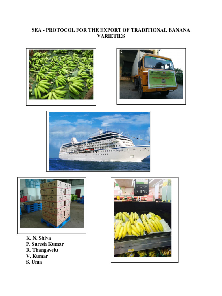 9 Sea Protocol | PDF