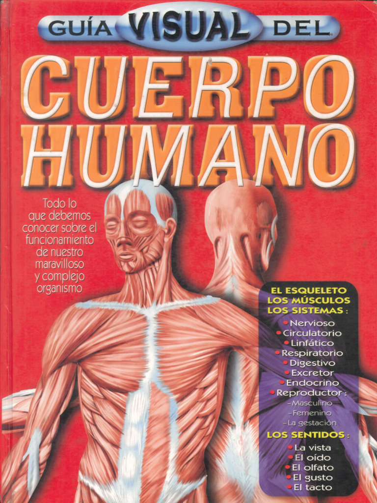 Guia Visual Del Cuerpo Humano | PDF