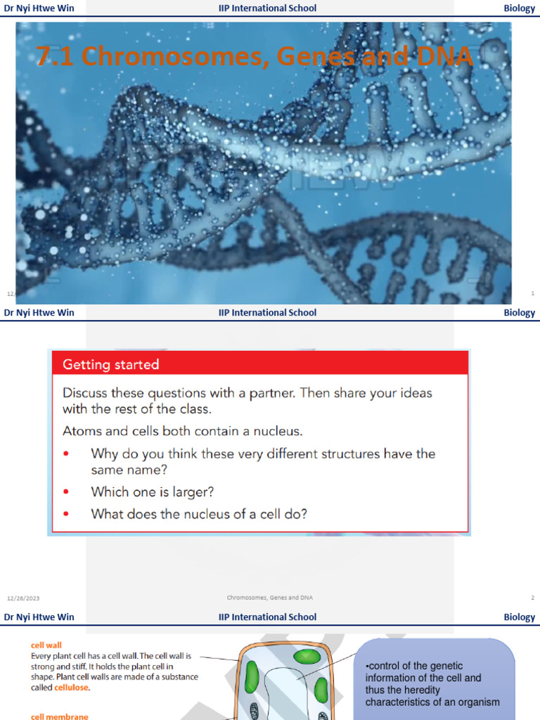7.1 Chromosomes, Genes and DNA | PDF | Chromosome | Dna